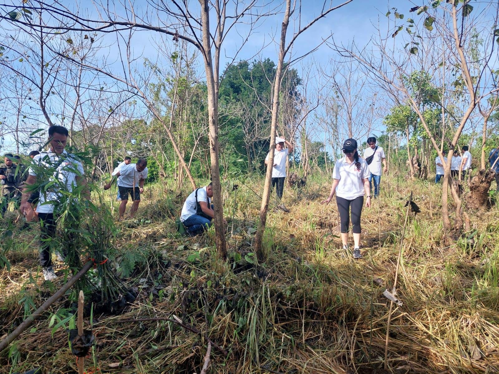 DITO Telecommunity’s Tulung Tulong DITO Volunteers Plant 1,000 Bamboo ...
